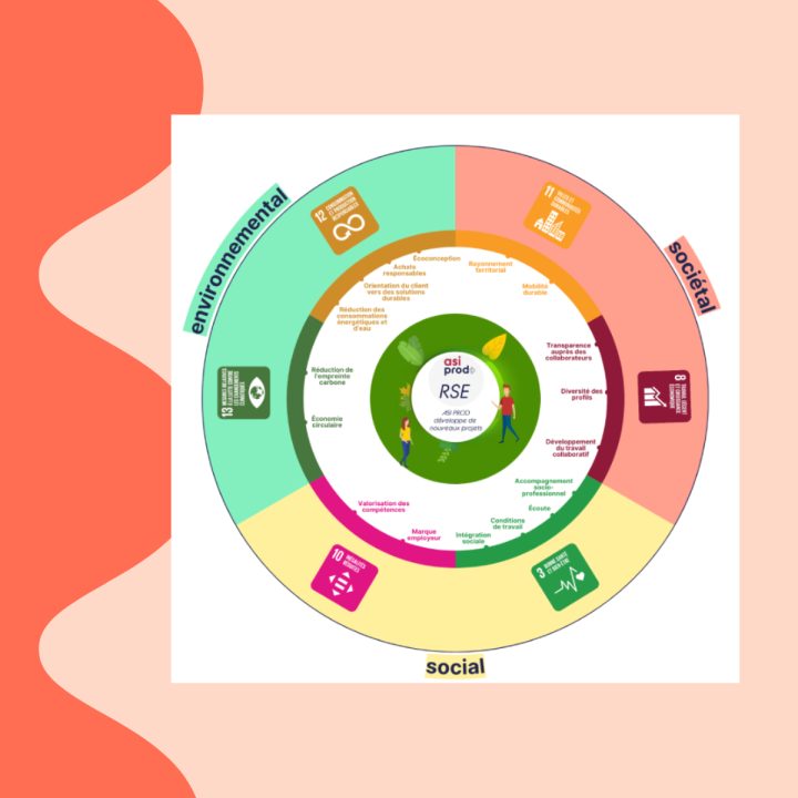 ASI PROD co-construit sa stratégie RSE autour des ODD - Les Petites ...